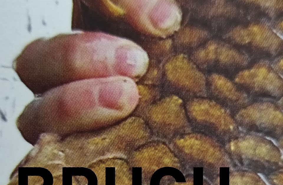 Secret Sundays – Unser Ebertplatz